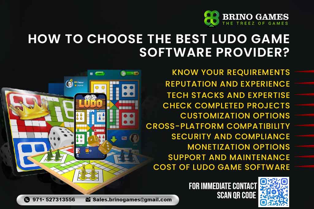 10 Tips to Choose the Best Ludo Game Software Provider