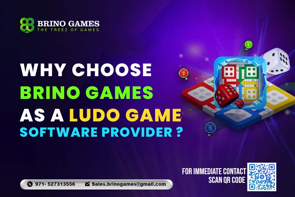 10 Tips to Choose the Best Ludo Game Software Provider